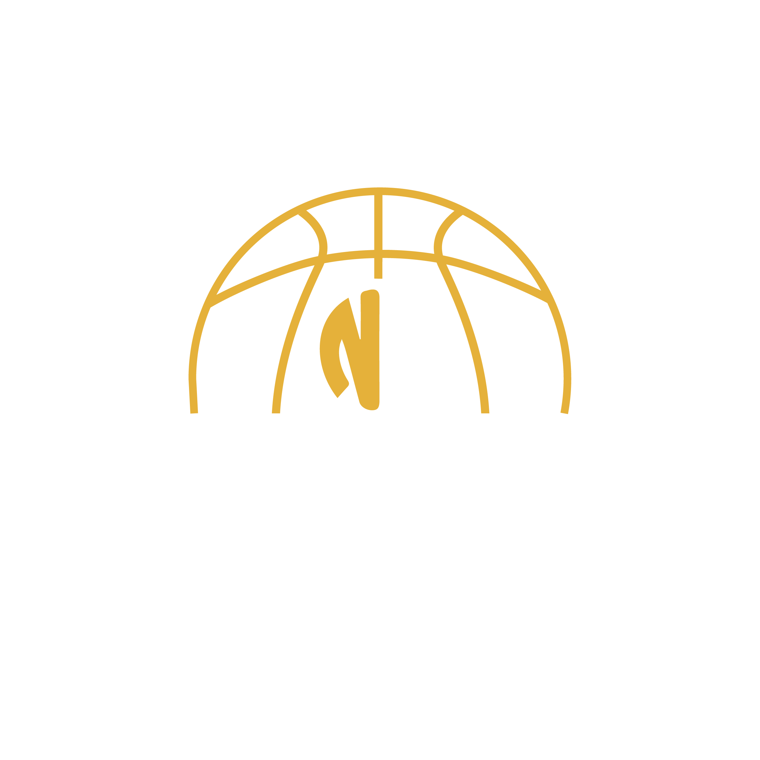 New Registration - New Evolution Basketball